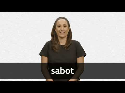 English Translation of “SABOT” | Collins French-English Dictionary