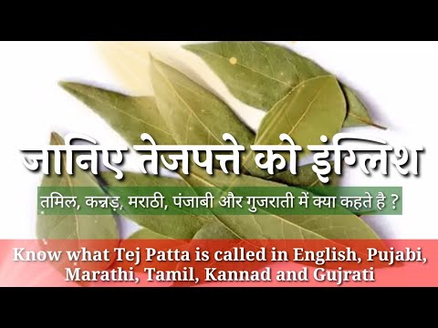 तेज पत्ते को इंग्लिश में क्या कहते हैं ? | Tej Patta in English | Tej Patte ko English me kya kehte