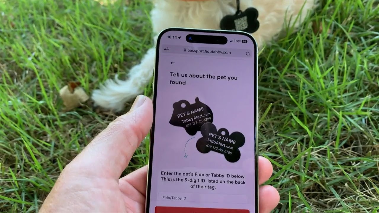 WHAT THE TECH? Collar tags that use QR codes to help reunite lost pets with their owners