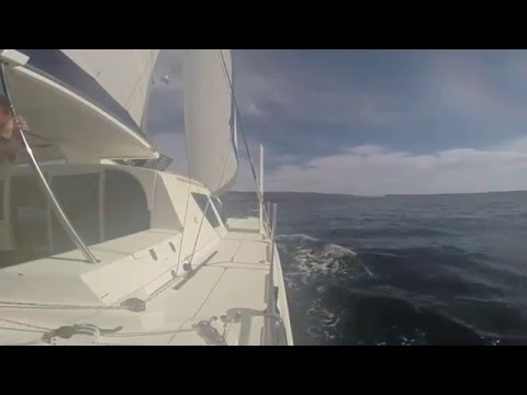 Sea of Cortez Catamaran Sailing Adventure - Catana 41