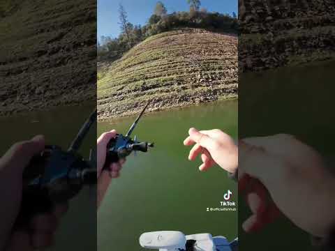 Bass fishing with BFS setup #fishing #short #shorts