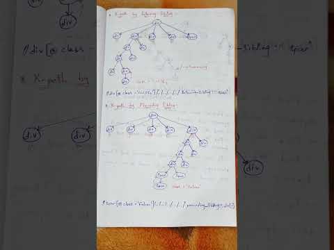 X-path by following and preceding sibling | X-path | automation testing | selenium