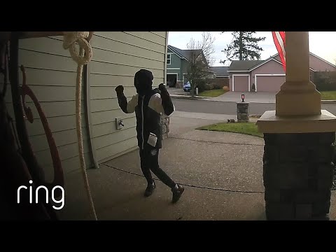 Ring Doorbell Videos: Watch the Wildest Viral Moments Here
