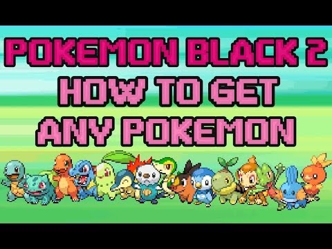 POKEMON BLACK 2 - Get Any Pokemon Action Replay Code DesMume