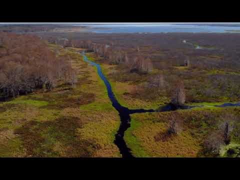 Micanopy, Florida by drone