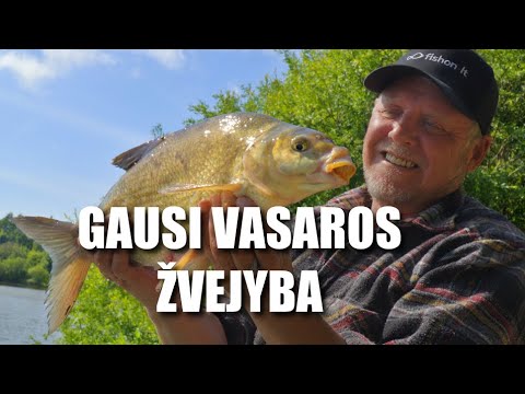 Method feederis, paprasta ir veiksminga su Pauliumi Korsaku | Vienam gale kablys | 4K