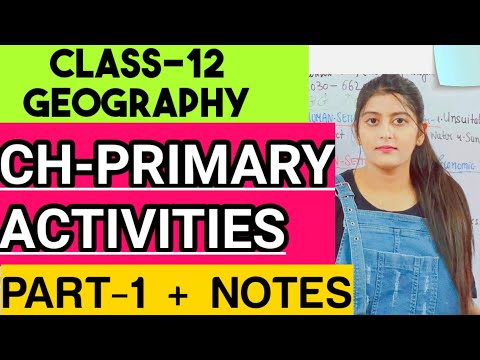 Primary Activities Video Lecture - Class 12