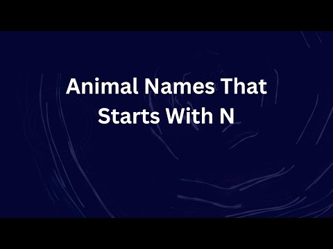 Animal Names That Starts With N