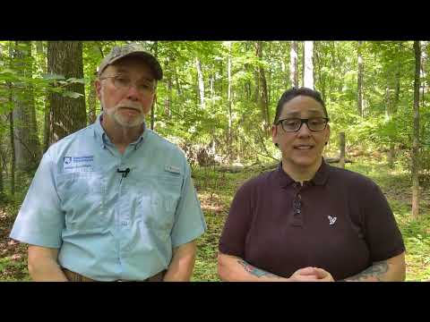 Invasion Ecology and Horizon Scanning for Invasive Organisms