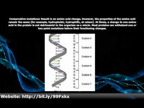 Types of Point Mutations