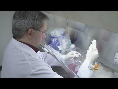 Researchers Say Salmonella Strain Could Destroy Cancer