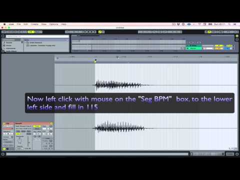 How to warp an acapella which has 1 steady tempo