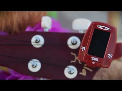 Introducing the Tiki Tuner by GoGoTuners