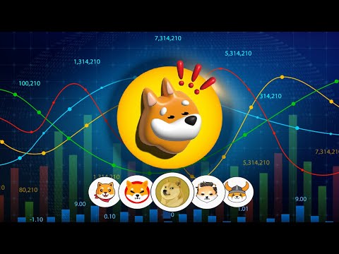 What is Bonk Coin? The Bonk Meme Coin Story (ANIMATED)