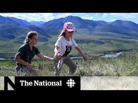 Lucky few travellers from N.W.T. visit Yukon’s Ivvavik National Park