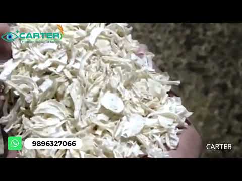 Sortex Machine - Rice Sortex Machine Latest Price, Manufacturers ...