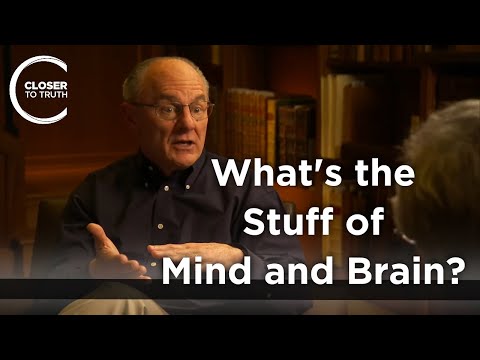 Warren Brown - What's the Stuff of Mind and Brain?