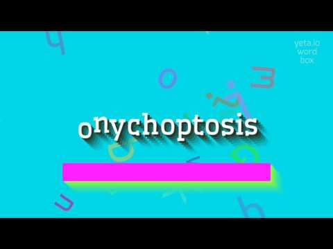 How to say "onychoptosis"! (High Quality Voices)