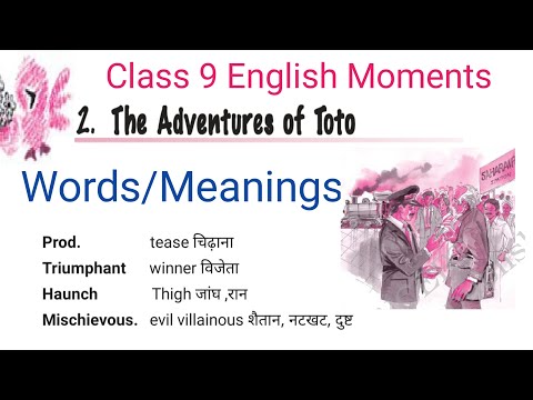 The adventures of toto word meaning|Ncert solutions class 9 english chapter 2| Class 9 Moments