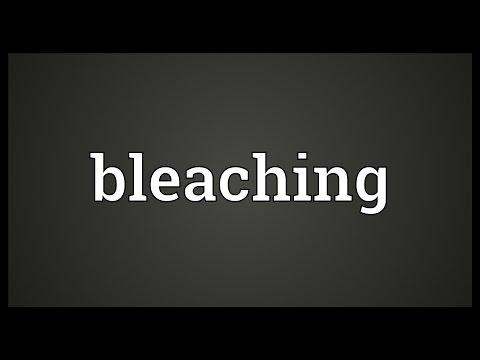 Bleaching Meaning