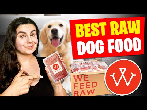 Best Raw Dog Food | Why ‘We Feed Raw’ Could Be the Healthiest Choice