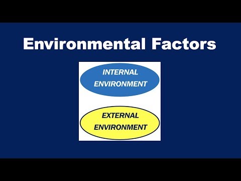 What are Environmental Factors?
