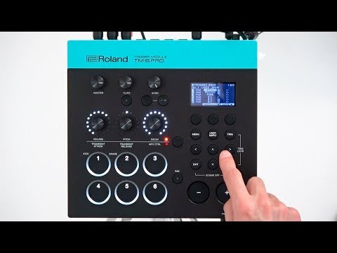 Roland TM-6 Pro Trigger Module - Módulo de Disparo Profissional