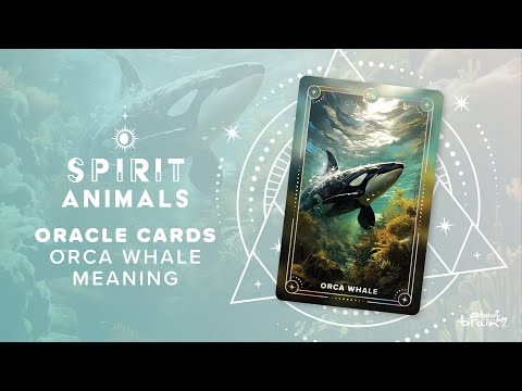 Orca Whale Spirit Animal | Symbolism & Meaning Explained
