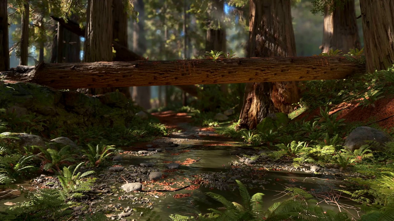 Star Wars Battlefront - Endor Forest Ambience (4K, 60fps)