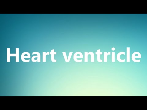 Heart ventricle - Medical Definition and Pronunciation