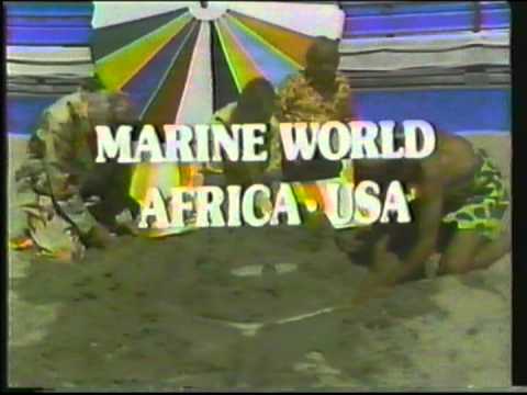 Captain Kangaroo, Debbie Weems, Dennis, Mr Grean Jeans, playing in the sand