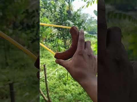 very strong catapult #diyslingshot #diycrafts