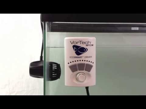 EcoTech: Set Up Guide for the VorTech MP10 | Big Al's