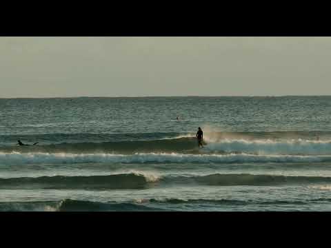 Navini Apartments - 313 Golden Four Drive, Bilinga, QLD 4225 | Domain