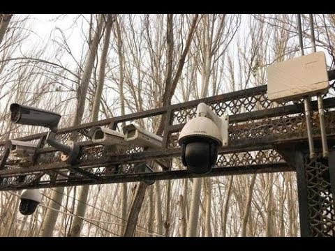 Names, ID Numbers, Birth Dates and Location Data: Chinese Firm Tracks Millions