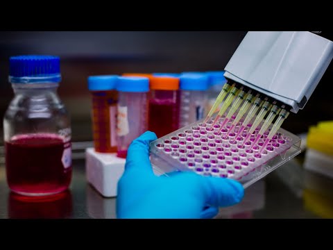 [Nuvisan Talk] How to augment the value of your regulatory CYP induction study