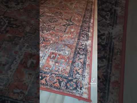 The best amazon persian rugs!