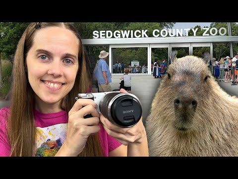 How I Take Photo References for Painting Wildlife Art (It's Always an Adventure)