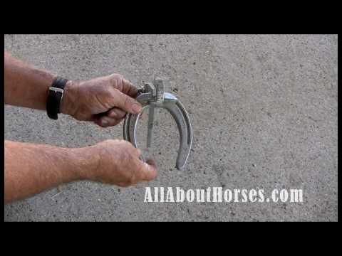 Farriers Tools and Shoe Removal Demonstration