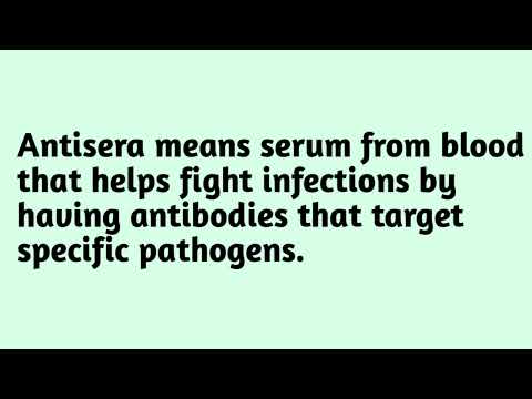 What is Antisera ?