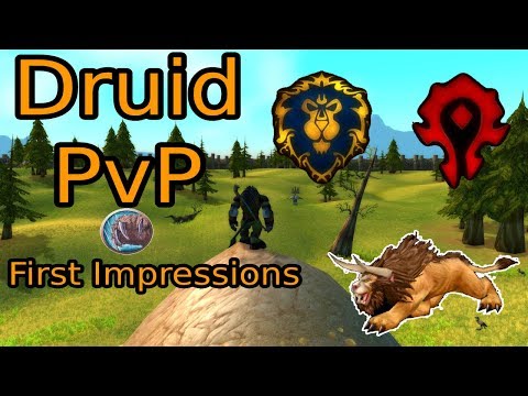 Druid PvP - Early Impressions