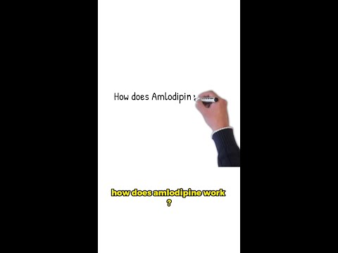 How does AMLODIPINE work?