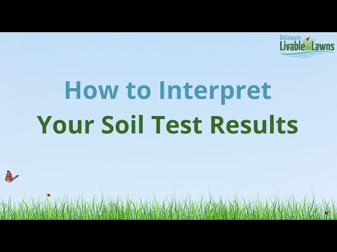 How to Interpret Soil Test Results