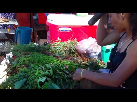 You MUST WATCH HOW LOCAL PEOPLE PREPARE TEA IN PARAGUAY