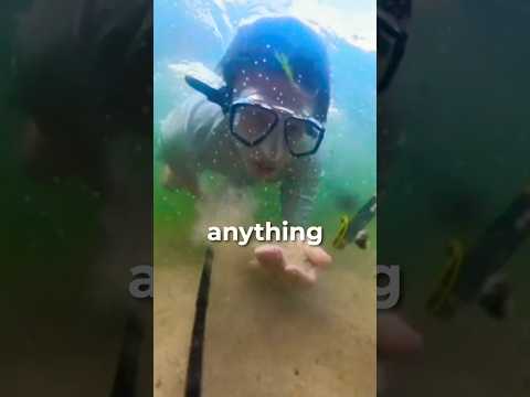 I Metal Detected 25 Miles of Ocean and Found...