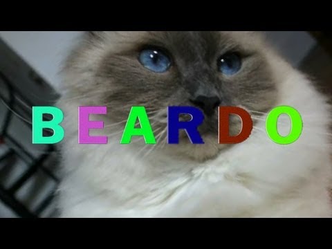 BEARDO - Vet Lecture