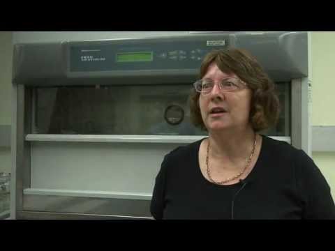 How much cell death is enough? - Assoc Prof Dianne Watters