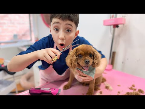 Dog Grooming for Kids | Pet Grooming for Kids | Learn how your dog is groomed at the Salon!