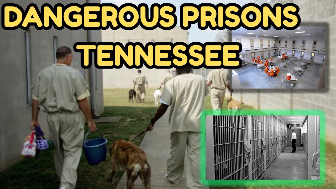 The Most Dangerous Prisons in Tennessee: You Won’t Believe What Happens Inside