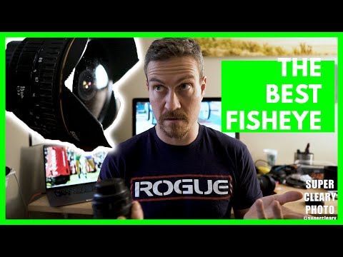 The Fisheye Lens You Should Buy - Sigma Vs. Nikon Vs. Canon
